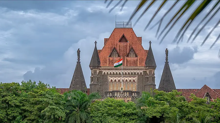 Bombay High Court restores pilot's license revoked 15 years ago, says ...