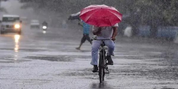Kerala braces for intensified monsoon ; Yellow alert for eight dts ...