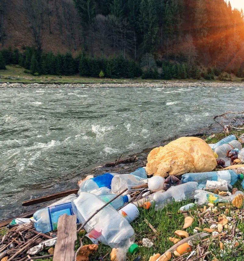 World's top 10% consumers cause $5.7 trn in environmental damage ...