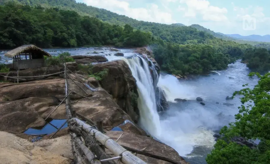 Digital lighting project in Athirappilly raises environmental and ...
