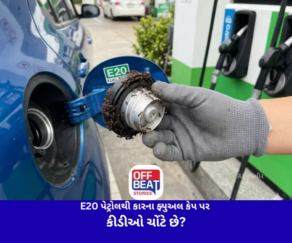 E20 પેટ્રોલથી કારના ફ્યુઅલ કેપ પર કીડીઓ ચોંટે છે?: વાયરલ દાવાની સરકાર ...