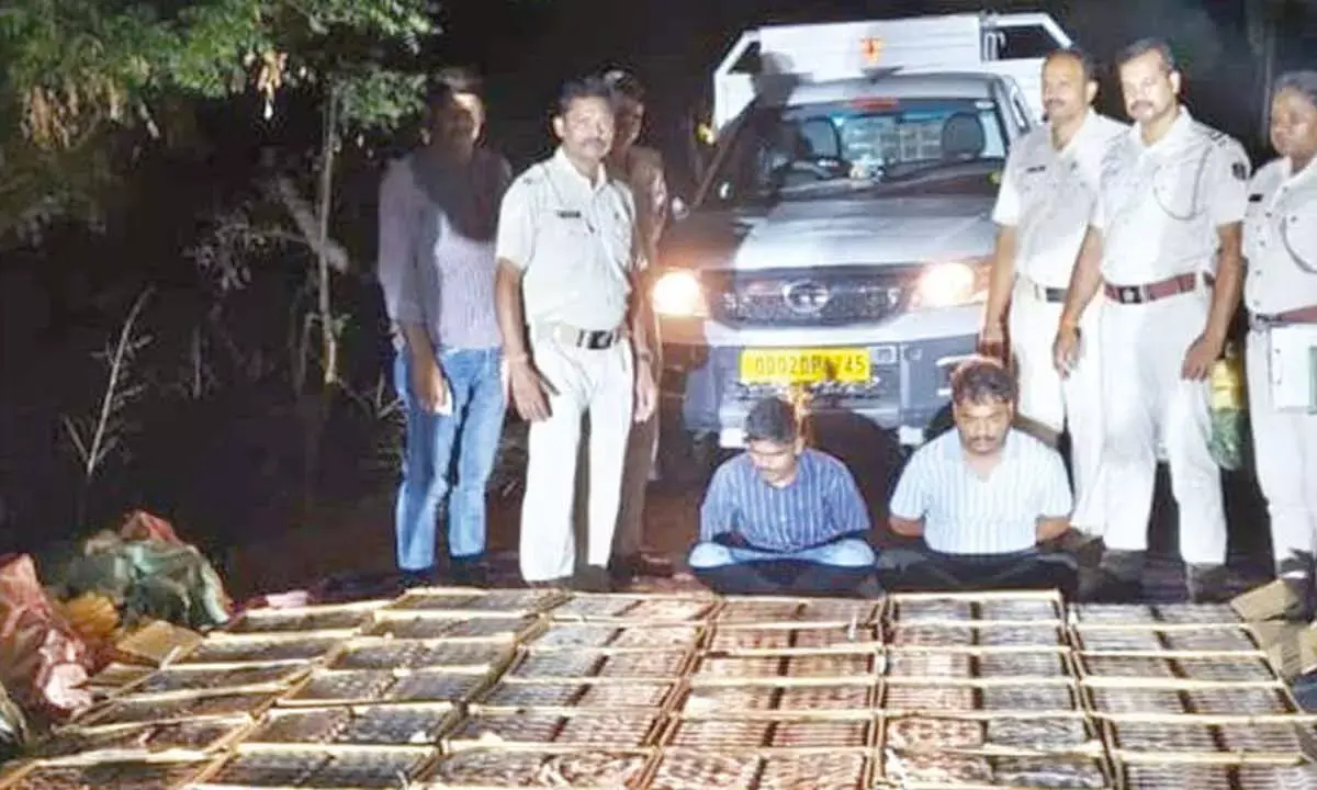 Cough syrup worth Rs 40 lakh seized | Dailyhunt