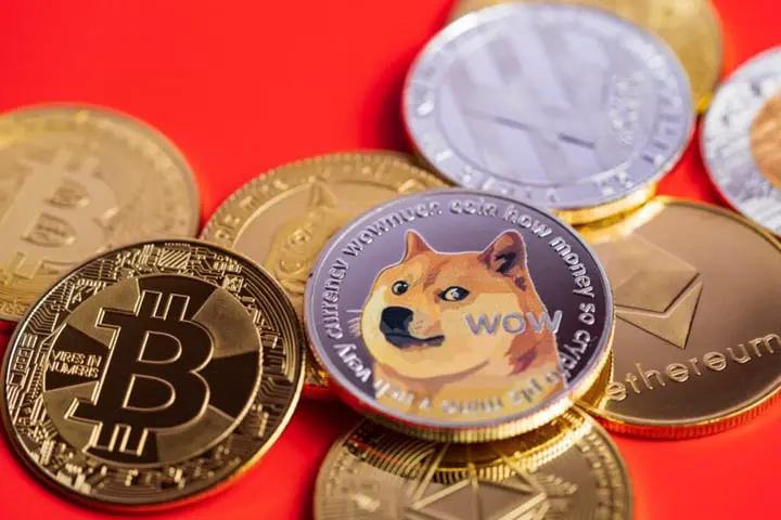 'Dogecoin Is For Spending, Not Holding,' Says DOGE Foundation Director ...