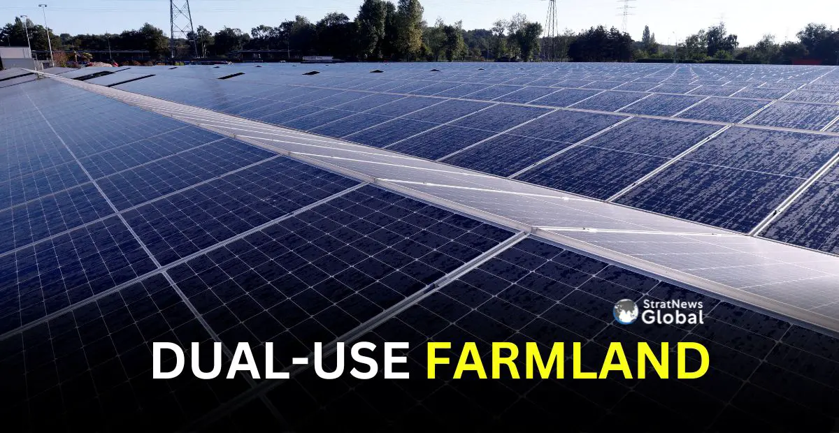 Bangladesh Tests Solar Farming To Tackle Energy Dependence | Dailyhunt