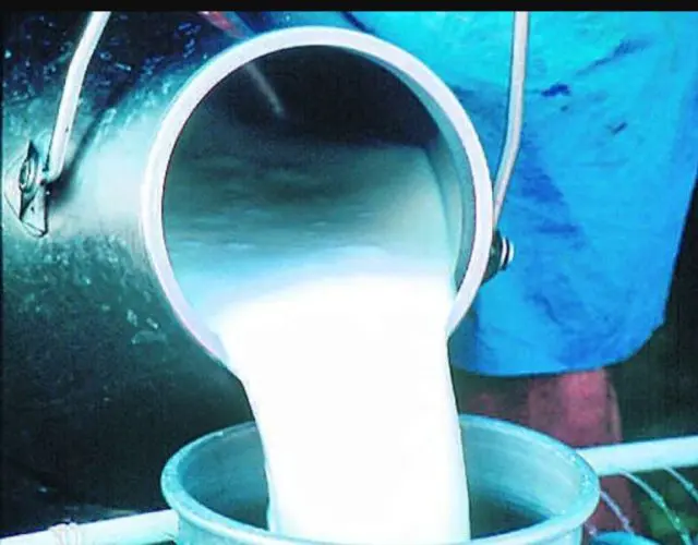 Punjab launches 'Milk, not plastic' campaign; Verka offers ₹2 per litre ...