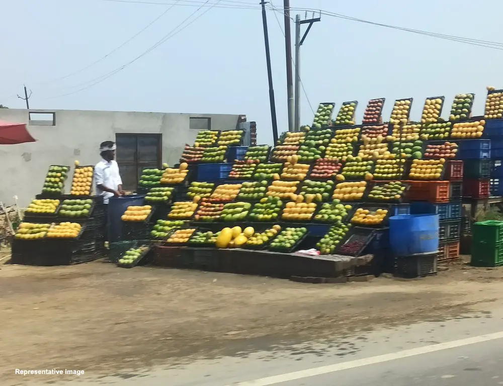 Mangoes Not Linked to Narayanguda Teen Tragedy, Say Food Safety ...