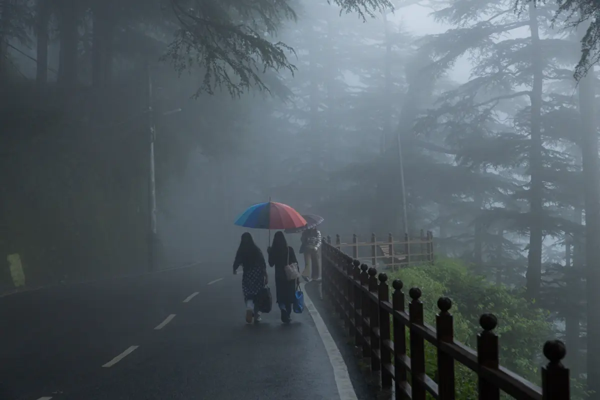 Heavy rain to continue in Himachal Pradesh; yellow alert issued for all ...