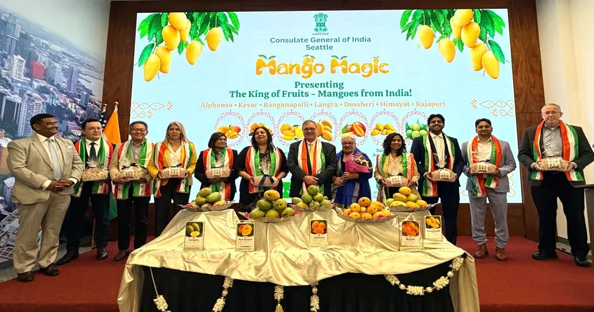 Seattle Hosts Mango Magic Event Showcasing Indian Mango Varieties To US ...