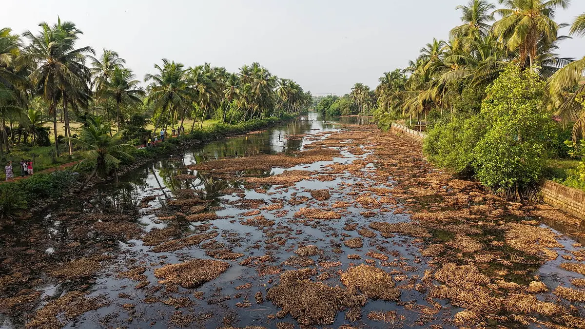 A river lost in urban waste | Dailyhunt