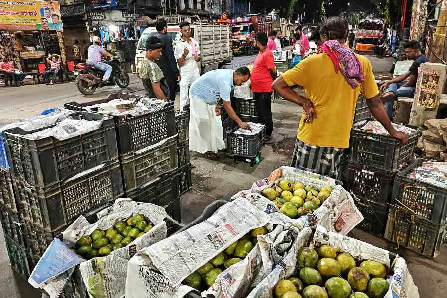In pictures: Inside Kolkata's bustling mango night market at College ...
