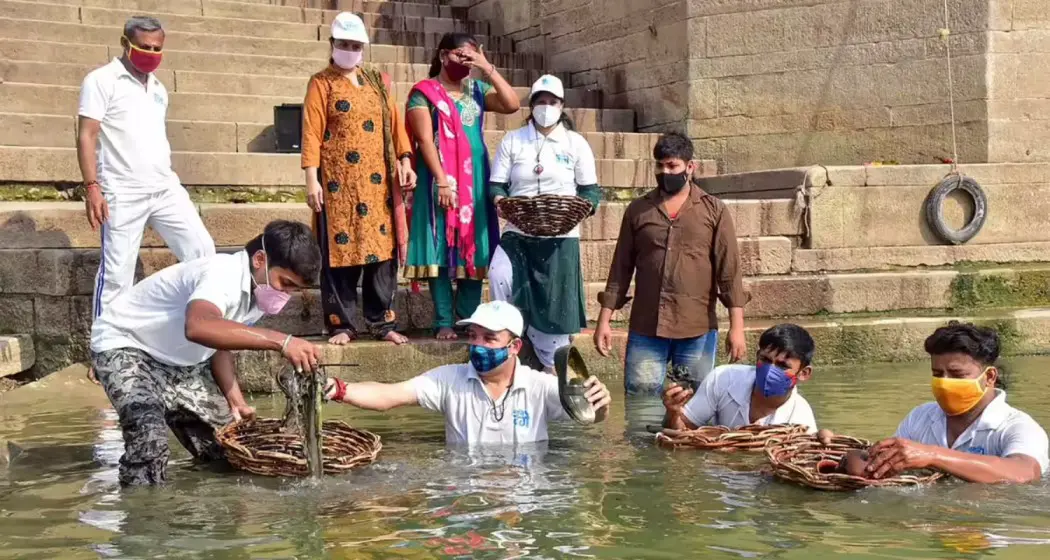 Ganga showing signs of ecological revival, says NMCG | Dailyhunt