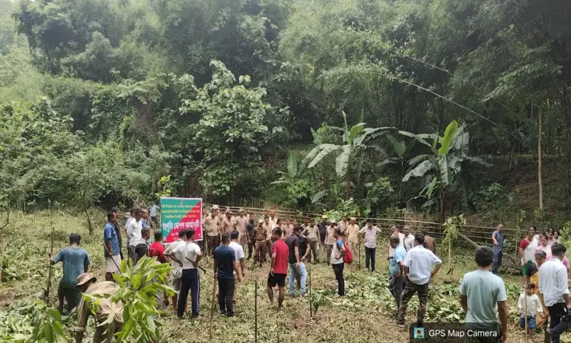 Assam: Bongaigaon youths ordered to plant 5,000 saplings after felling ...
