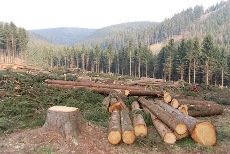 Biodiversity loss has serious economic consequences, can spike interest ...