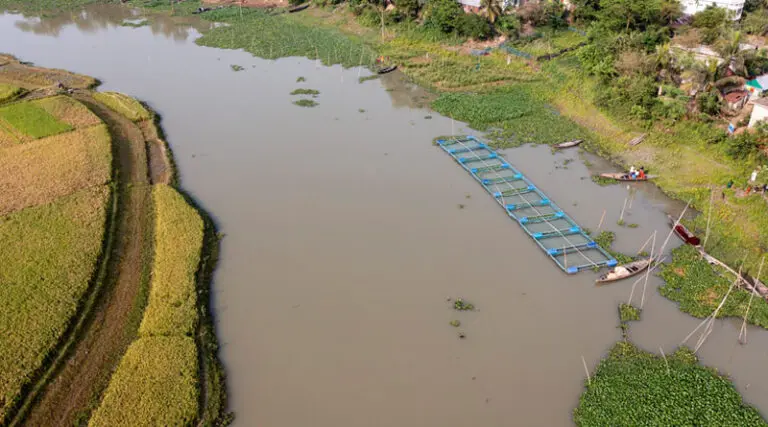 From Record growth to Impact: FAO Welcomes Ambitious New Funding Cycle ...