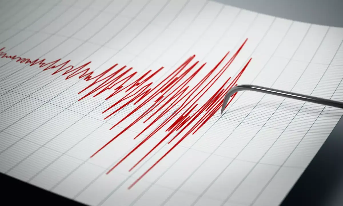 3.8 Quake Jolts Bhadradri-Kothagudem | Dailyhunt