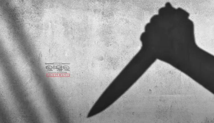 Karnataka Horror: Teen Stabs Father, Sister to Death; Gaming Addiction ...