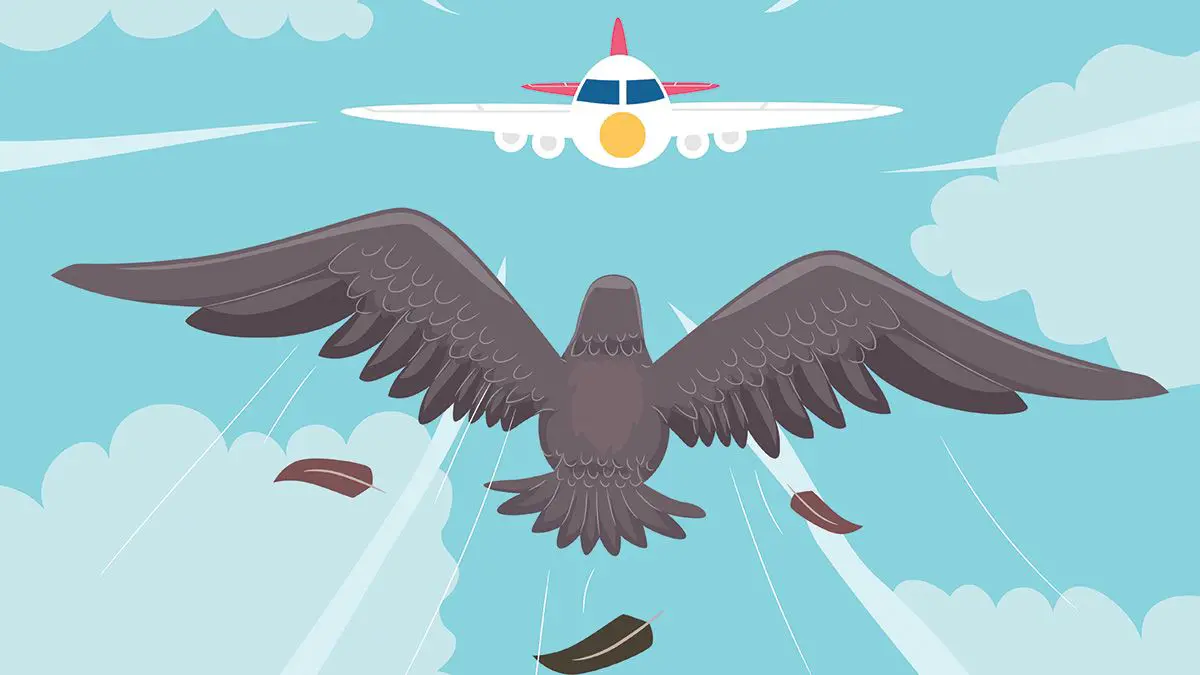 AI flight makes emergency landing after bird hitAll 124 passengers ...