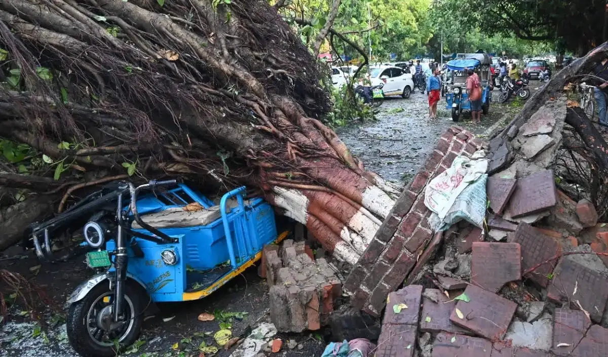 Tragic Incident in Firozabad: Tree Falls on E-Rickshaw, Five Lives Lost ...