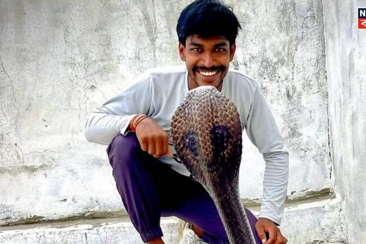 Snake: গোখরো, শাঁখামুঠের ছোবলেও 'ডোন্ট কেয়ার', তাঁর সামনে ঠান্ডা চরম ...