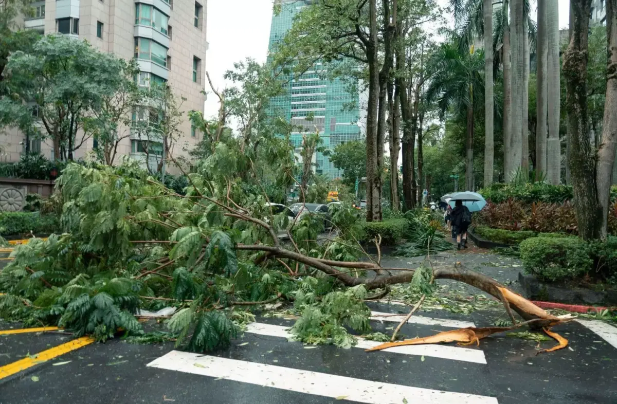 Alwal tragedy: Father and daughter electrocuted while clearing tree ...