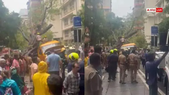 Mumbai Tragedy: Child Killed After Tree Crashes Onto School Bus In ...