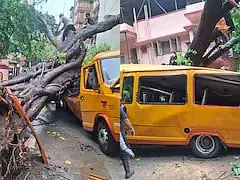 Mumbai: 11-year-old dies as tree falls on school bus in Mumbai's ...
