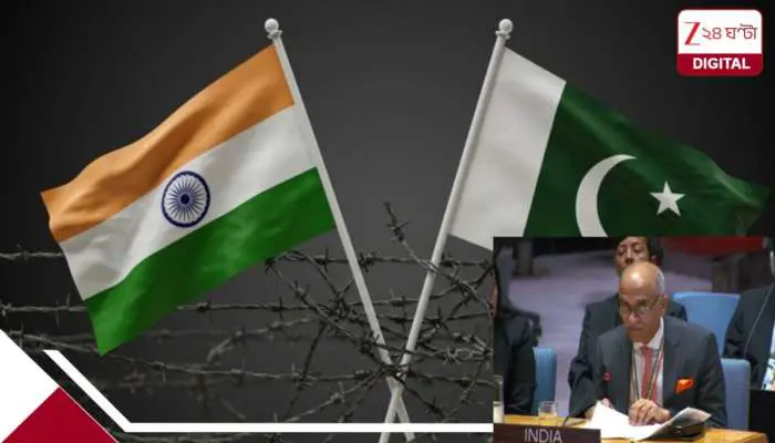 India Pakistan: বিশ্বমঞ্চে পাকিস্তানকে 'ছিঁড়ে খেল' ভারত,'ফিতনা আল ...