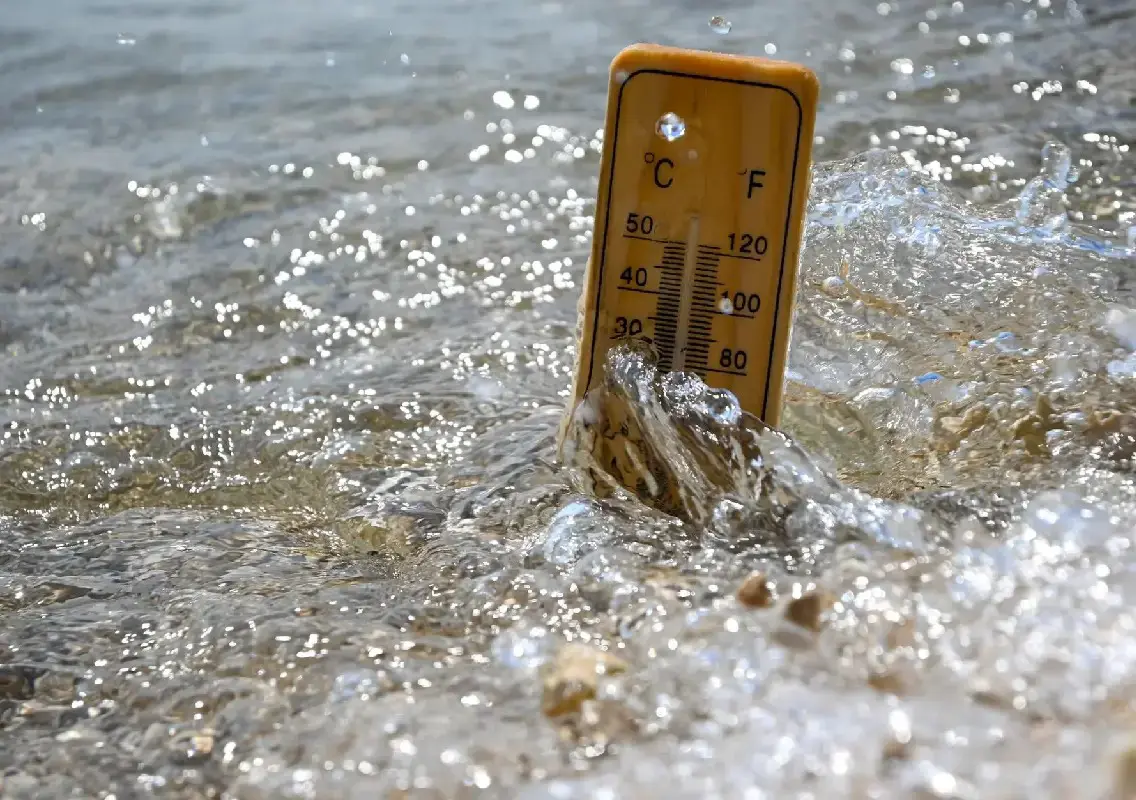 Atlantic waters off France hit record temperatures, alarming scientists ...