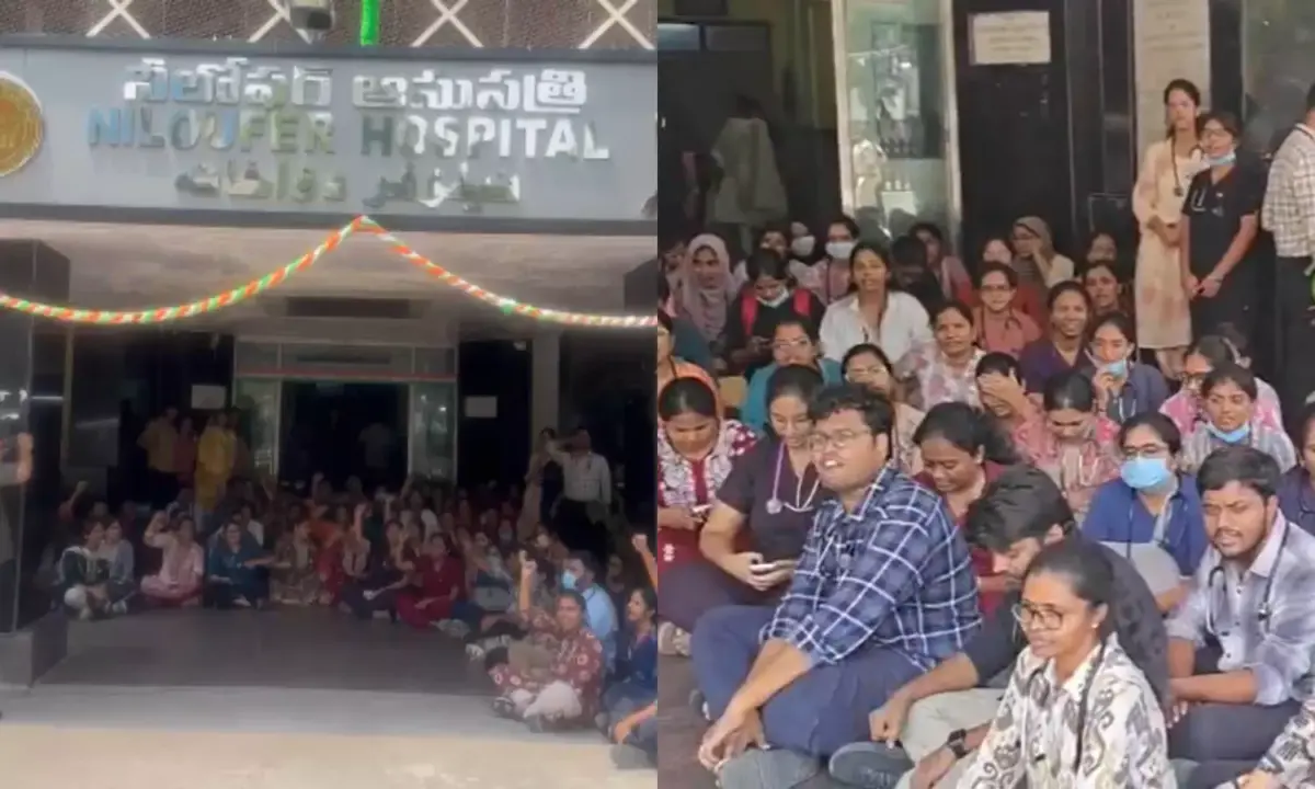 Telangana doctors demand Special Protection Force after doctor ...
