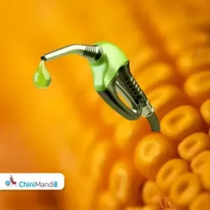 United States: Strong ethanol demand offers support to corn market ...