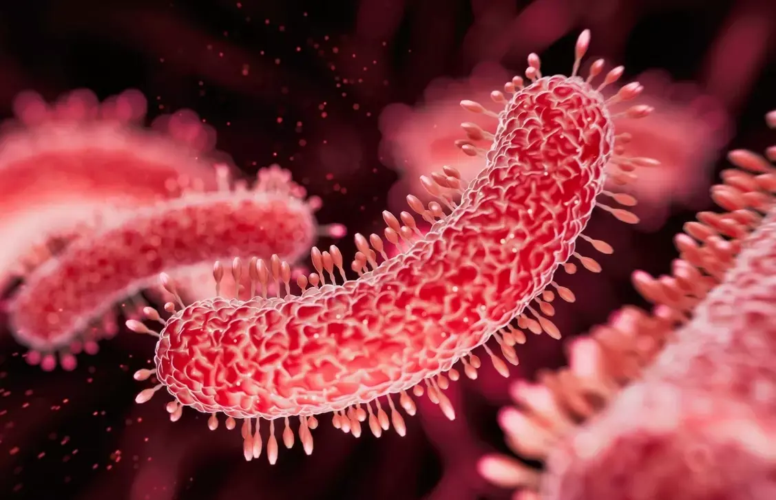 Kerala logs 110 Shigella cases in June amid Nipah scare | Dailyhunt