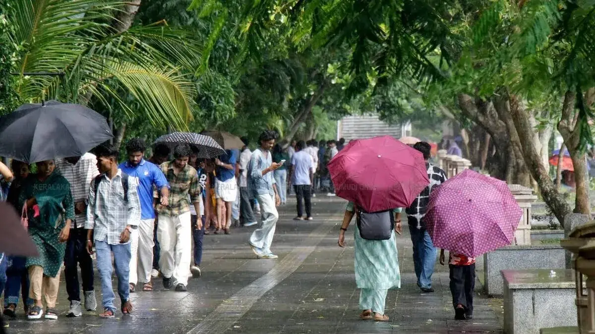 Rains likely to intensify; two districts on orange alert | Dailyhunt