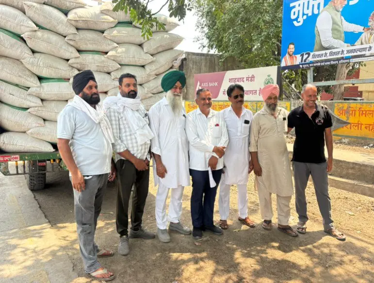 Sunflower procurement row: Shahabad Market Committee chairman suspends ...