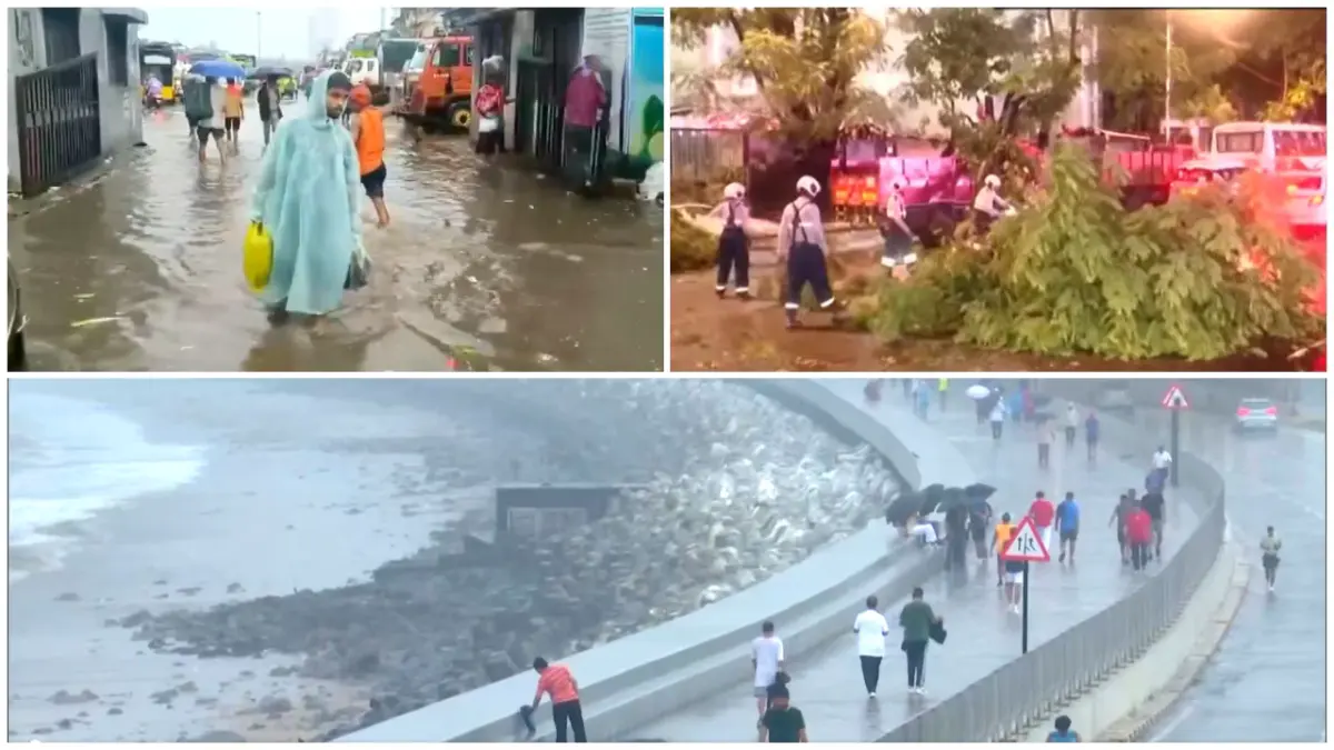 Mumbai rain havoc: Severe waterlogging, fallen trees, potholes bring ...
