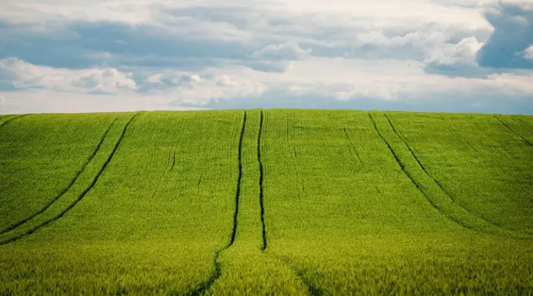 Horticulture Cultivation Area Likely to Reach 301.51 Lakh Ha in 2025-26 ...