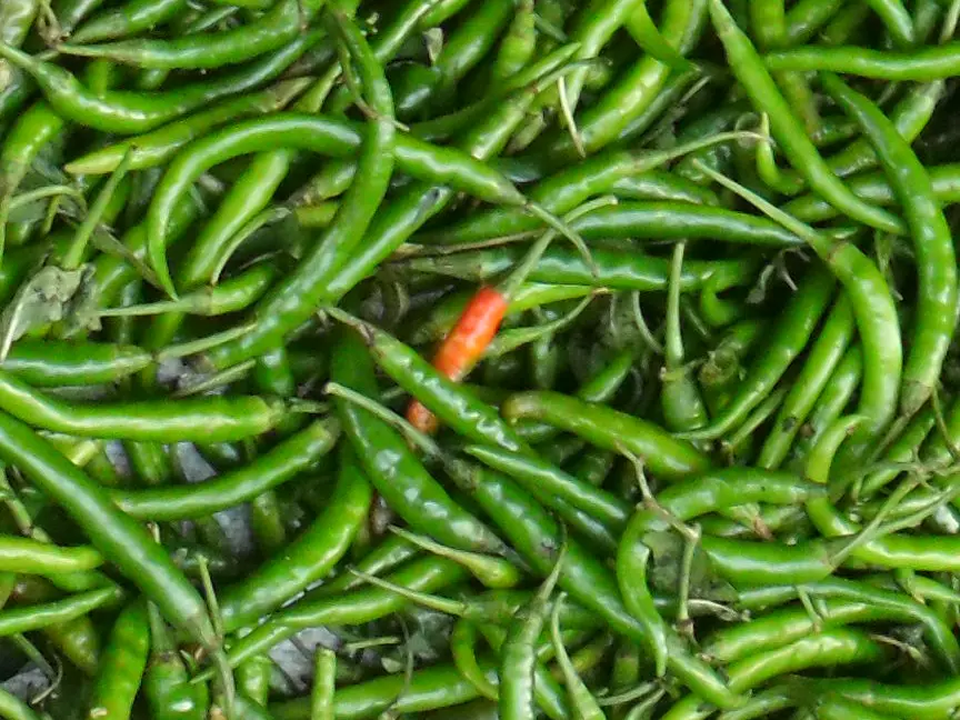 Now China Rejects Chilli From India, After Rice Ran Into Trouble in May ...