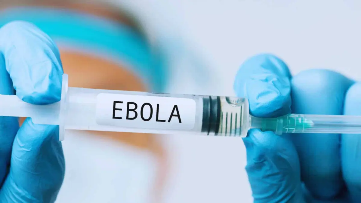 Ebola cases in eastern Congo climb to 782, deaths reach 181 | Dailyhunt