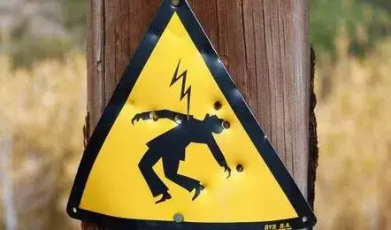 Electrocuted or fell? Hyderabad worker dies while trimming coconut tree ...
