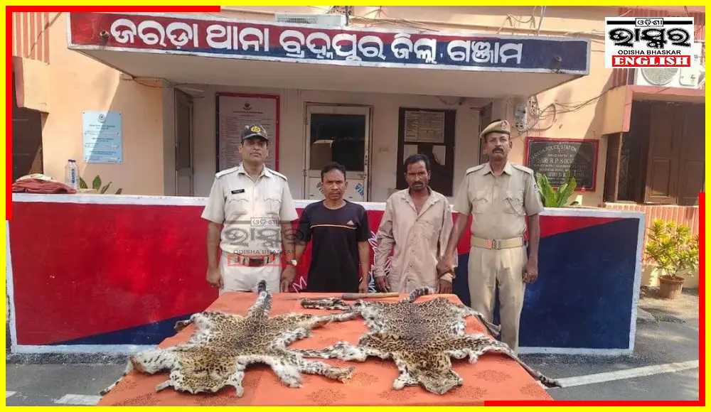 Crime Branch May Probe Ganjam Leopard Skin Seizure Case | Dailyhunt