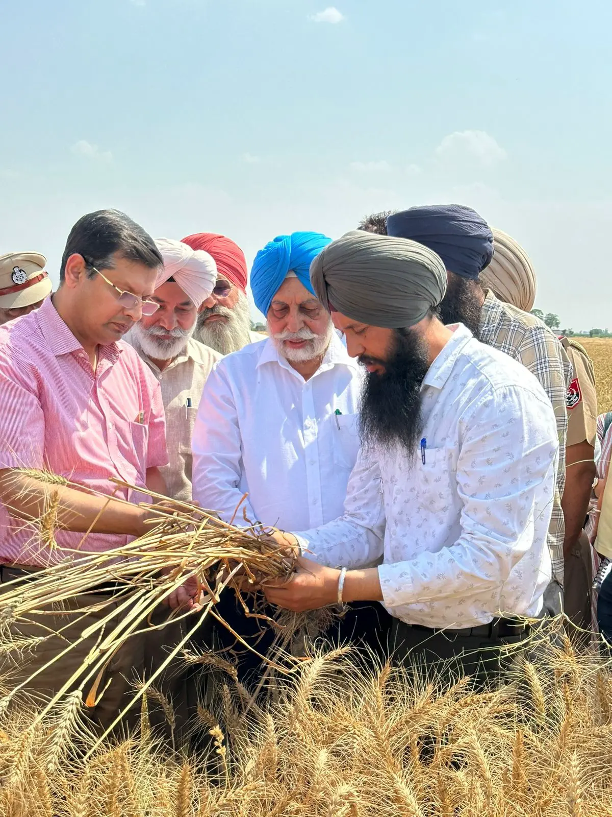 A prof-cum green crusader's 2-step revolution at Mutton village in ...