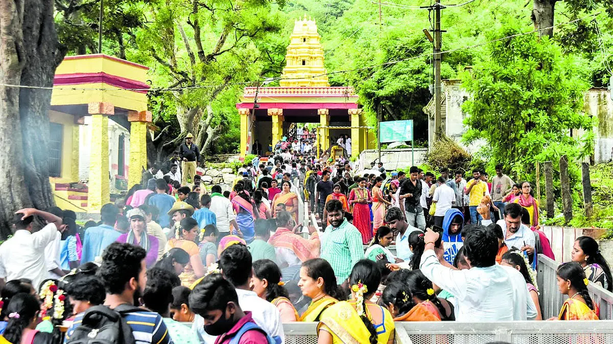Ashada Friday: Wadiyar permits parking in Shashiranjan Grounds | Dailyhunt