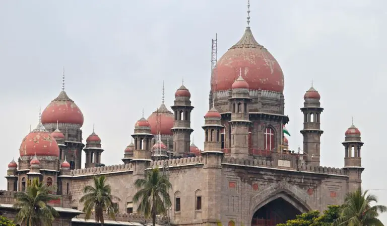 Telangana HC directs govt to respond to 97-year-old freedom fighter's ...