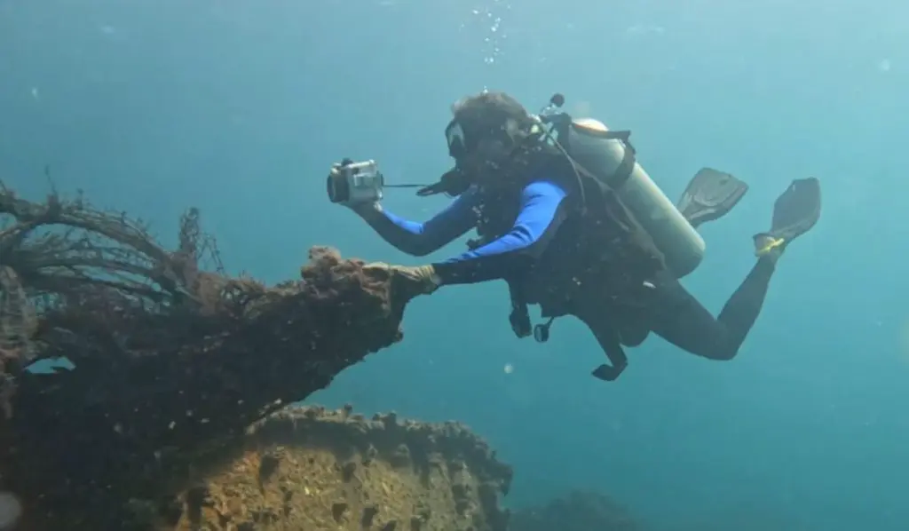 In Kerala, a sea archive maps three threatened reefs - and revives the ...
