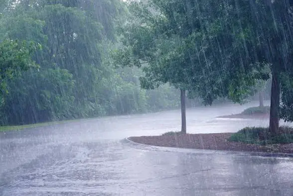 Light Rainfall Eases Heat Across Goa, More Showers Likely Ahead | Dailyhunt