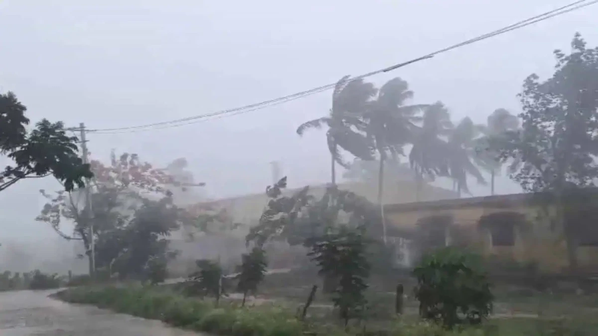 Two workers killed as compound wall collapses amid heavy rain near ...