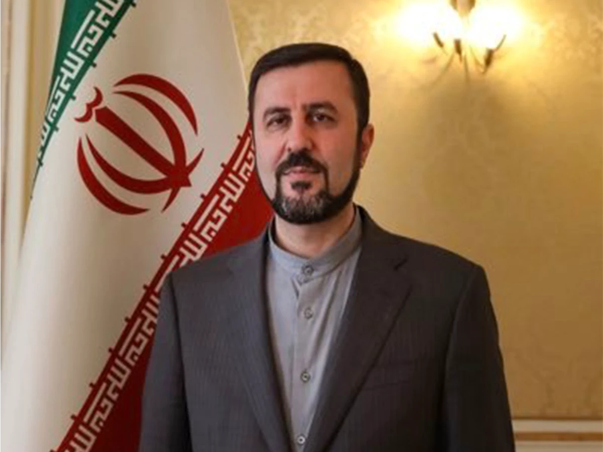 Deputy FM of Iran Gharibabadi likely to attend BRICS Summit in India ...