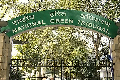 Assam: NGT issues notice over tree felling in Deepor beel for Railway ...