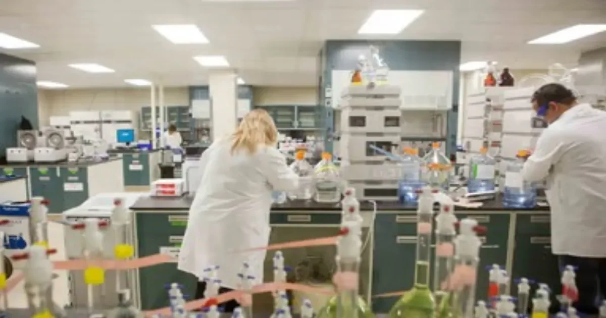 Study Reveals Previously Unknown Immune System Response Against Cancer ...