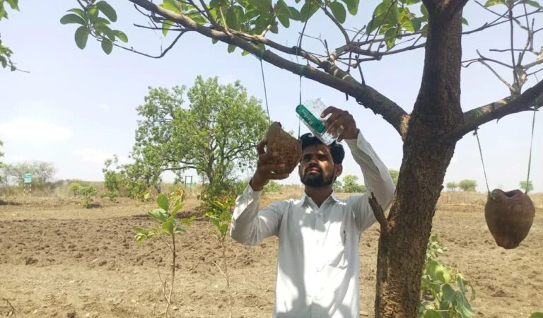 Young man from Karnataka travels 25-km to quench thirst of birds in ...