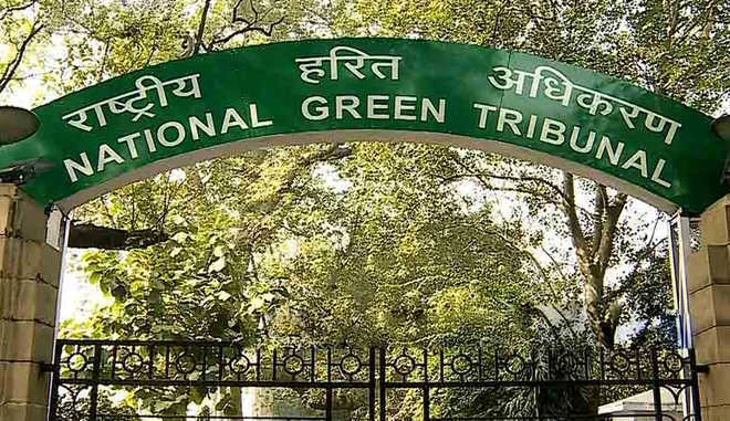NGT impleads Mayapuri SHO in illegal scrap activities case | Dailyhunt